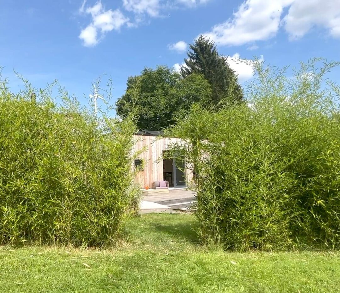 (Živý) plot mezi sousedy – zákony, povolení, zvyklosti | Bambusář.cz